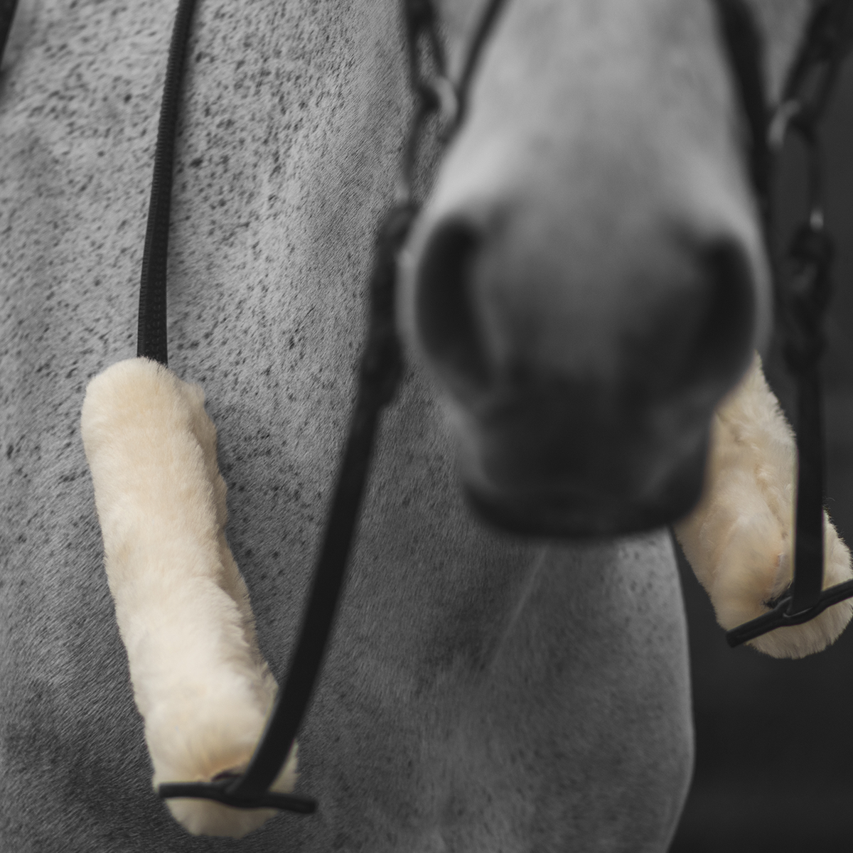 MERINO ANTI-RUB REIN COVERS – evolutionhorse.com