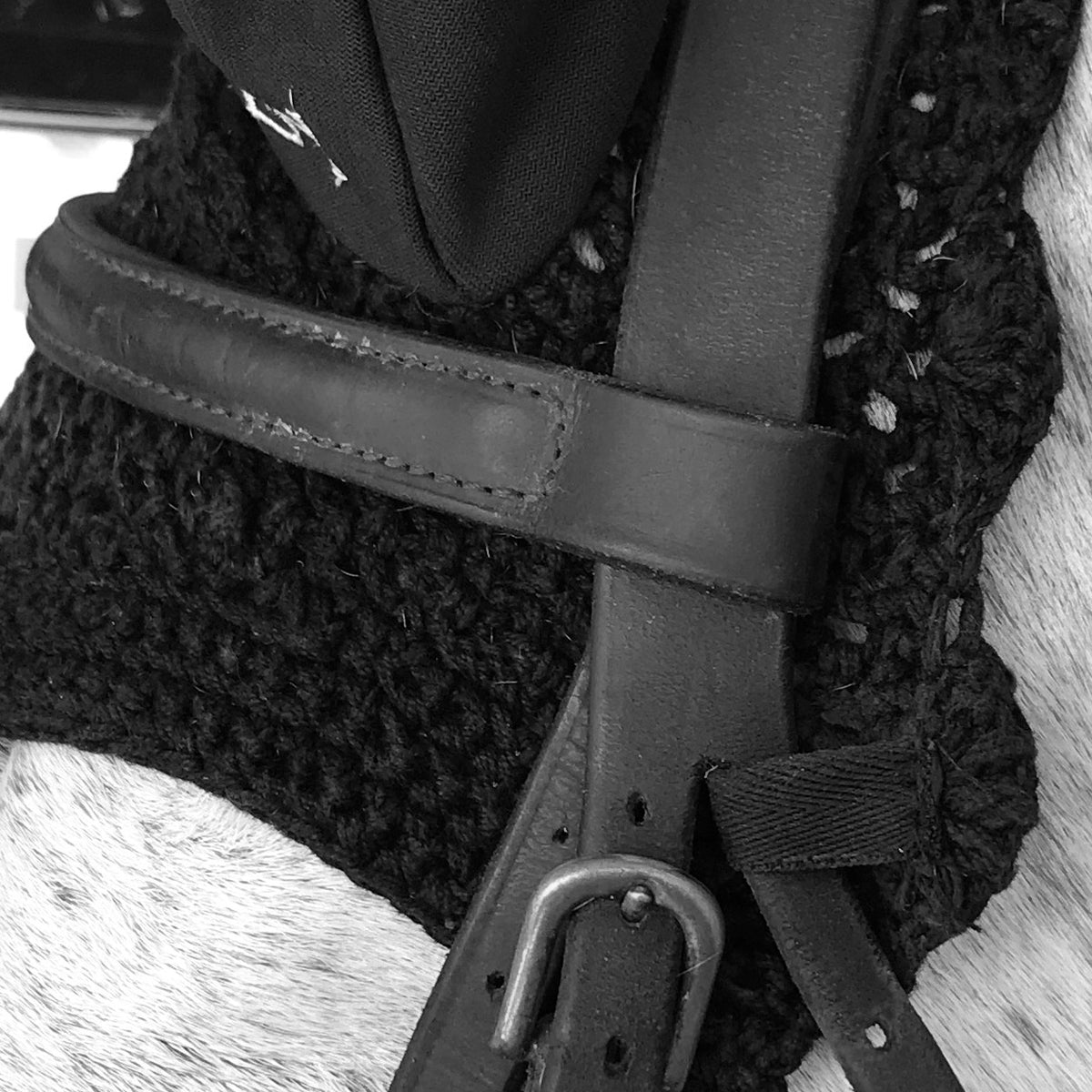 LUXURY CROCHET FLY VEIL – evolutionhorse.com